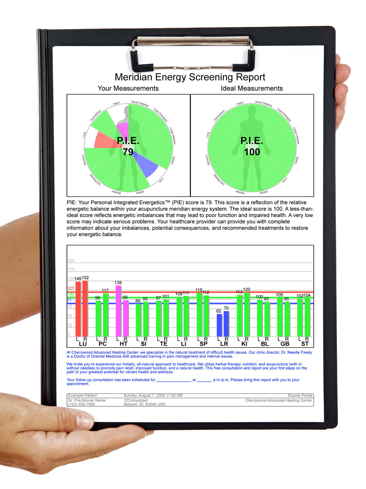 AcuGraph Digital Meridian Imaging- Dr. Ashley Hoyt, A.P. - Key West